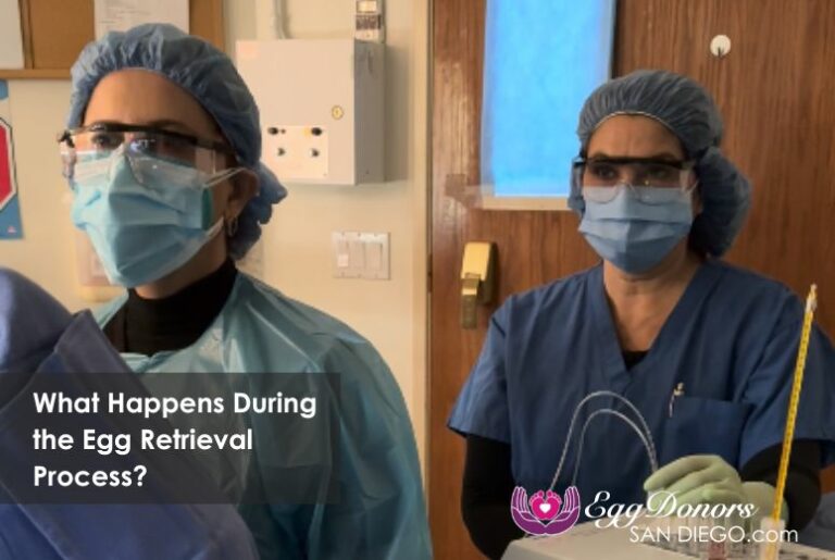 What Happens During the Egg Retrieval Process? - Fertility Institute of ...
