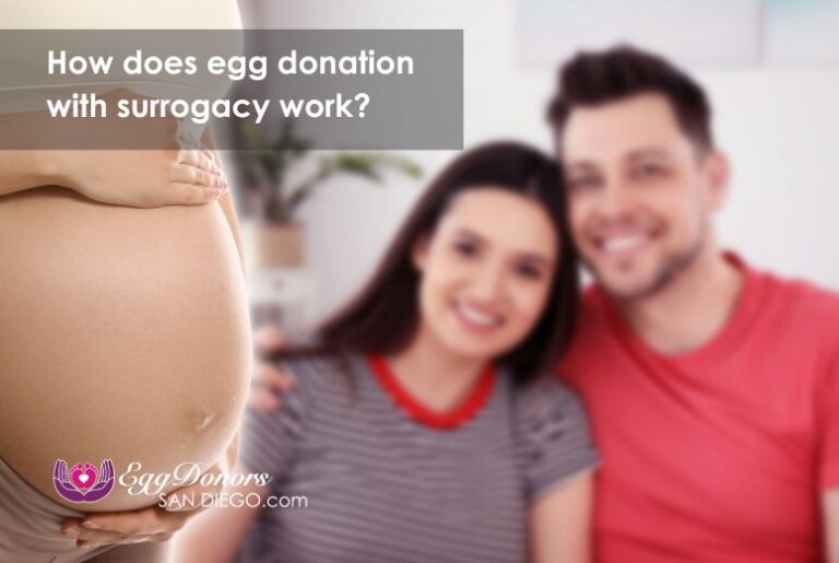 How Does Egg Donation with Surrogacy Work?